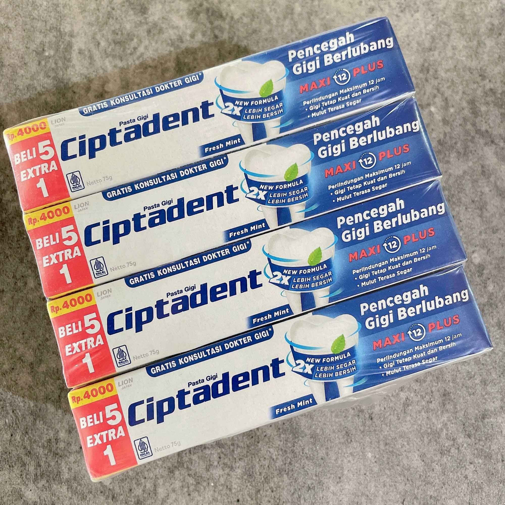 CIPTADENT PASTA GIGI FRESH MINT 75G | Lazada Indonesia