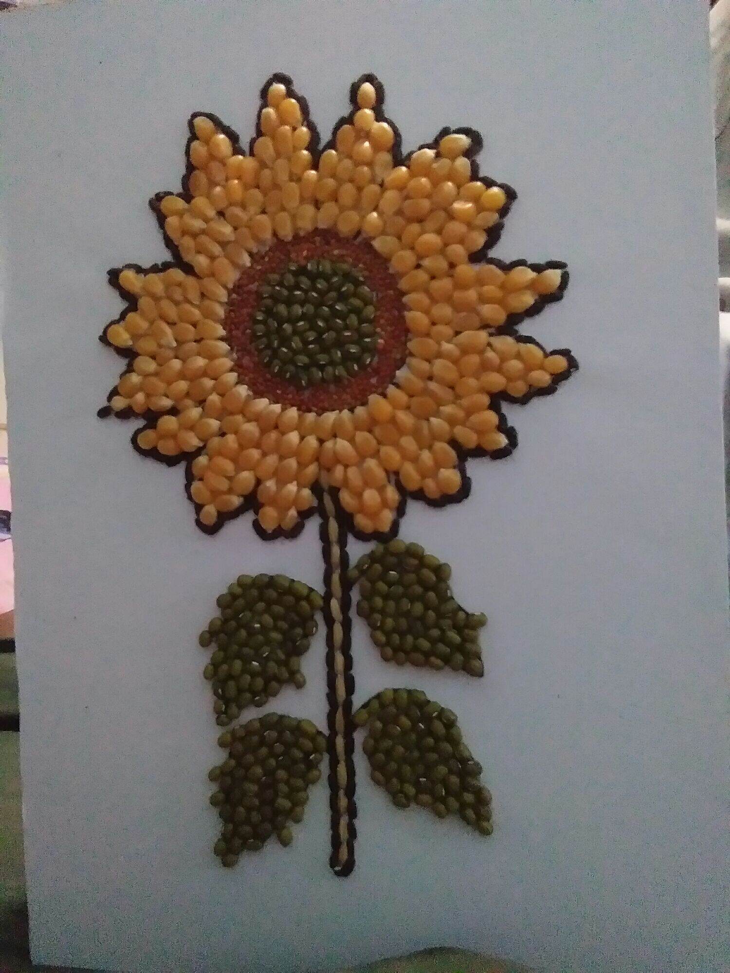 Kolase Biji Bijian Bunga Matahari Lazada Indonesia