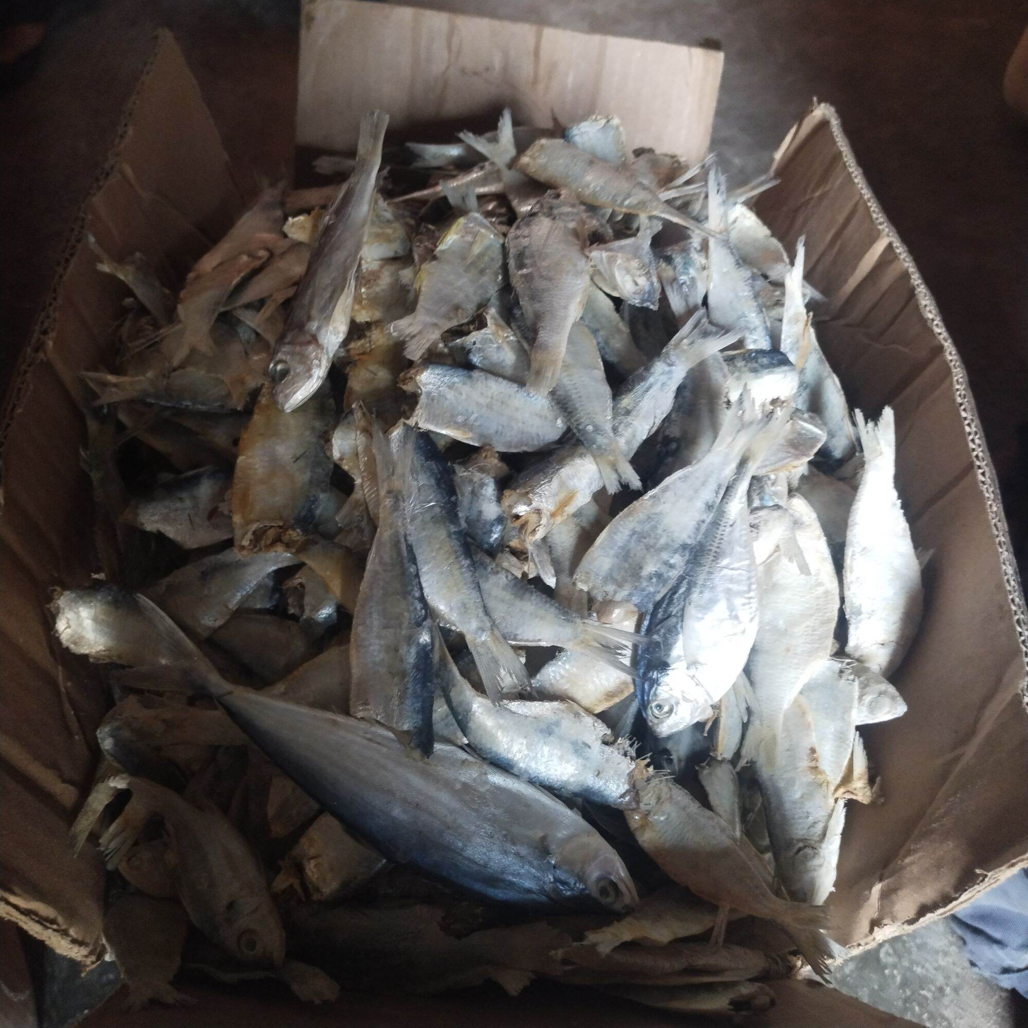 Ikan Asin Campuran Rucah / ikan asin Gurih | Lazada Indonesia