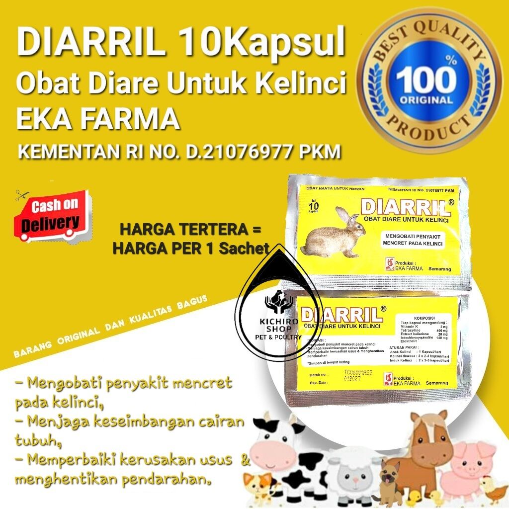 DIARRIL Kelinci 10Kapsul EKA FARMA Obat Diare Obati Mencret untuk ... DIARRIL Kelinci 10Kapsul EKA FARMA Obat Diare Obati Mencret untuk ...