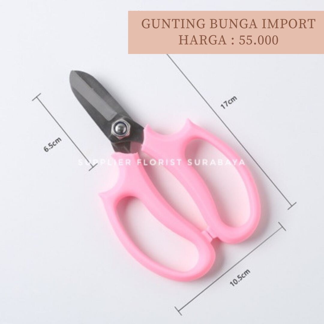 GUNTING BUNGA/ GUNTING BUNGA IMPORT/ GUNTING BUNGA KOREA/GUNTING BATANG ...