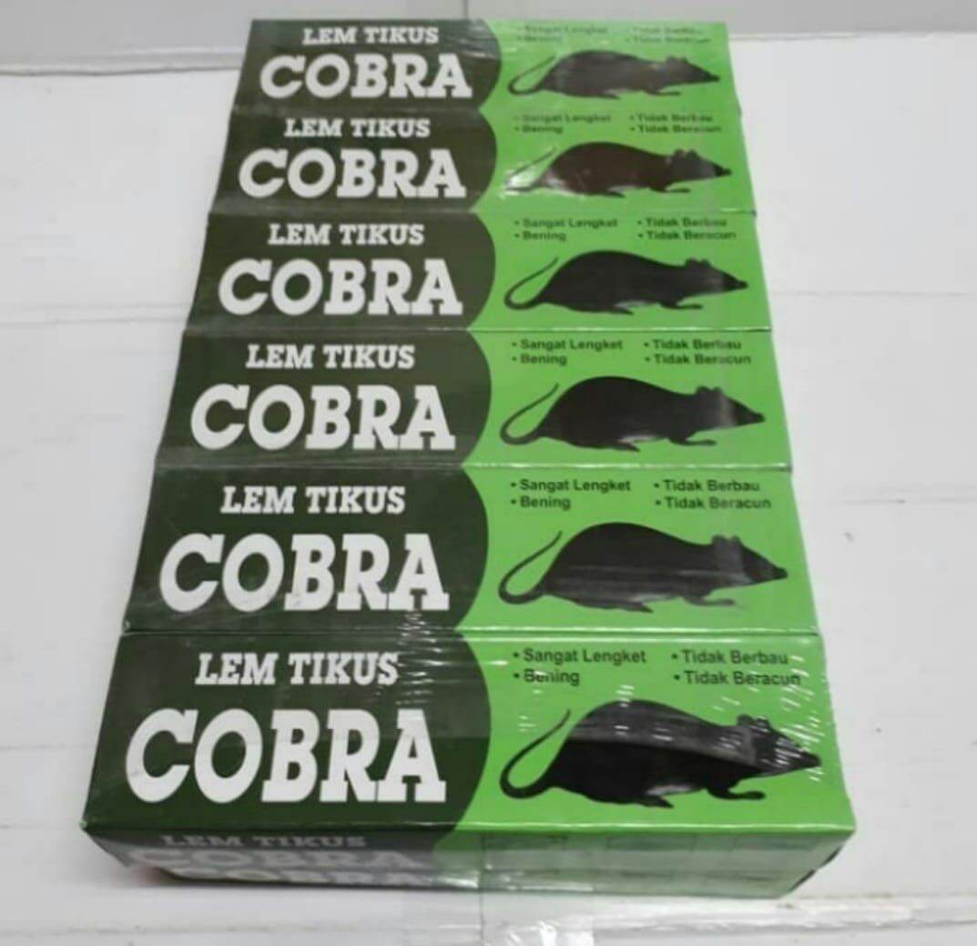 Lem tikus cap cobra 6pcs | Lazada Indonesia