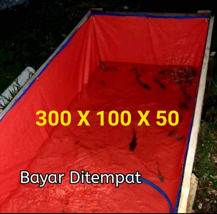 terpal kolam ikan ukuran 300x100x50 tipe A3 Korea | Lazada Indonesia