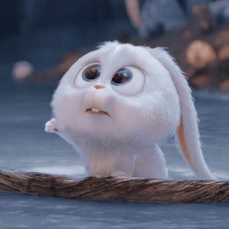 Shop online with Peachoco now! Visit Peachoco on Lazada.