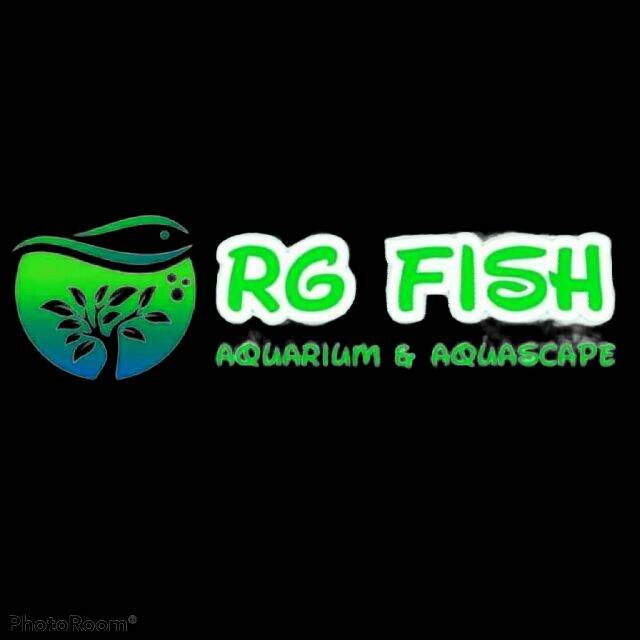 Toko Resmi Rg fish Online | Lazada.co.id
