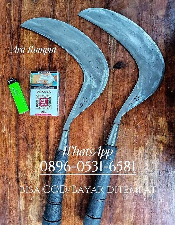 arit rumput | Lazada Indonesia