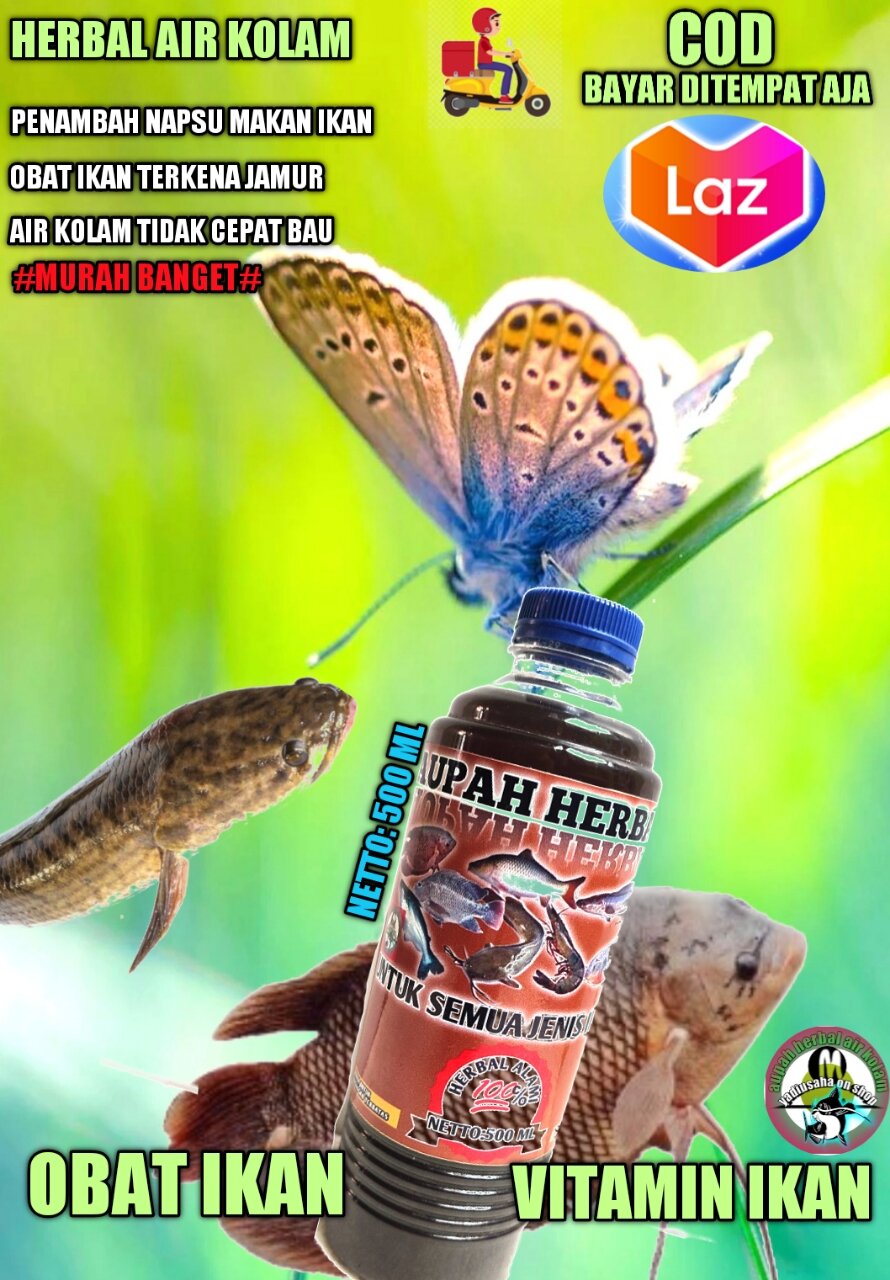 OBAT JAMUR UNTUK IKAN LELE OBAT IKAN LELE ANTI JAMUR OBAT JAMUR KULIT ...