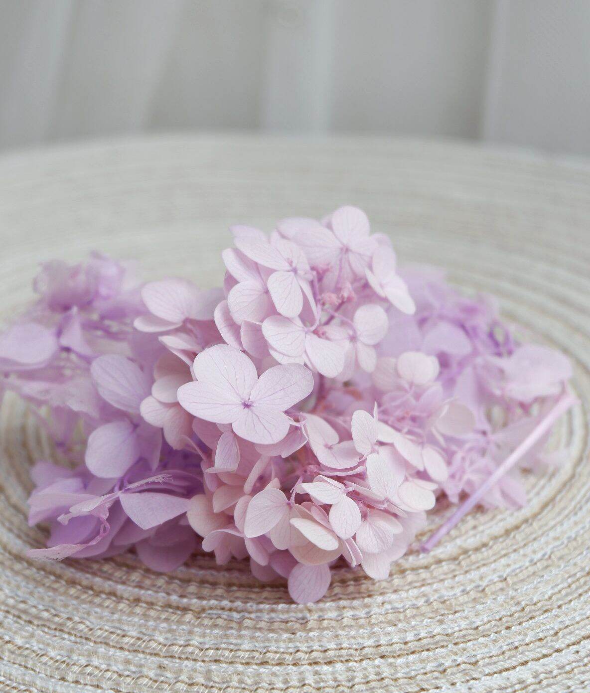 Bunga Kering Hydrangea In Bottle Dried Flower In Jar Dried Flower