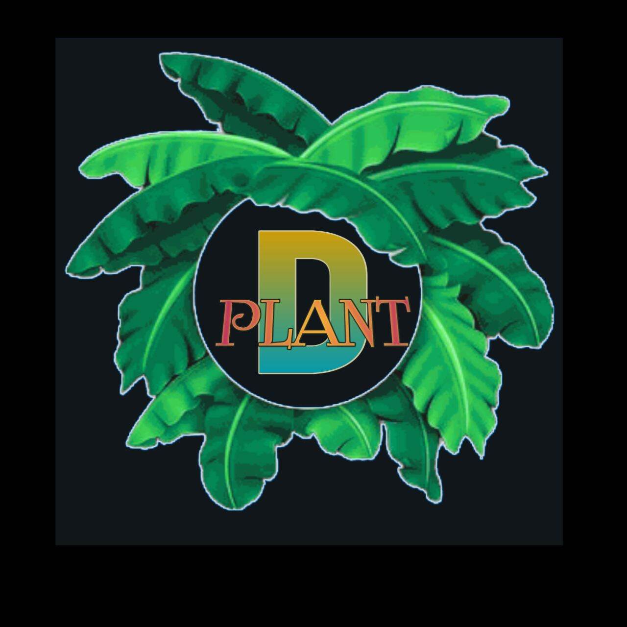 D Plant Indonesia Toko Resmi Online | Beli Sekarang di Lazada