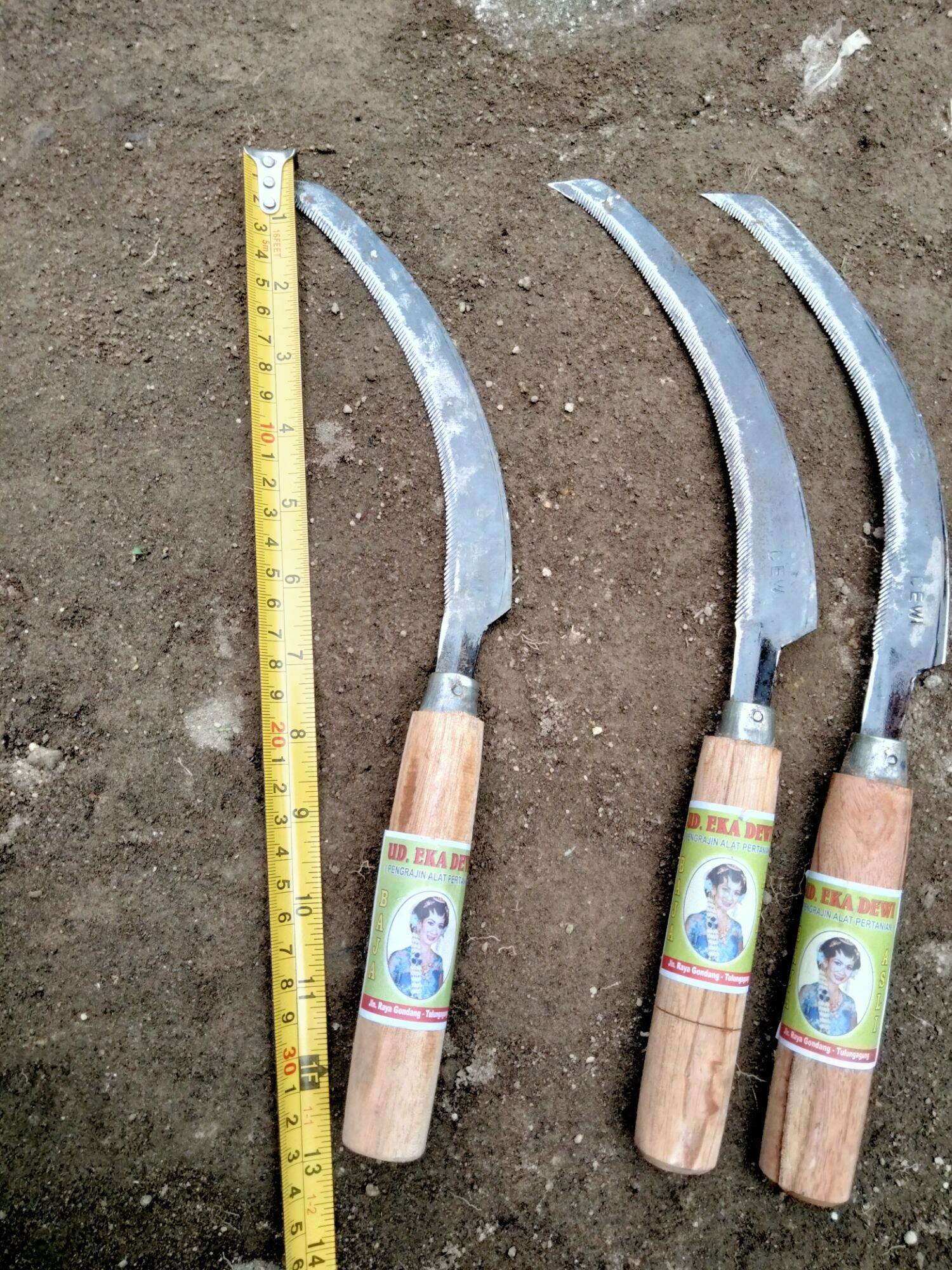 sabit panen padi model bergerigi | Lazada Indonesia