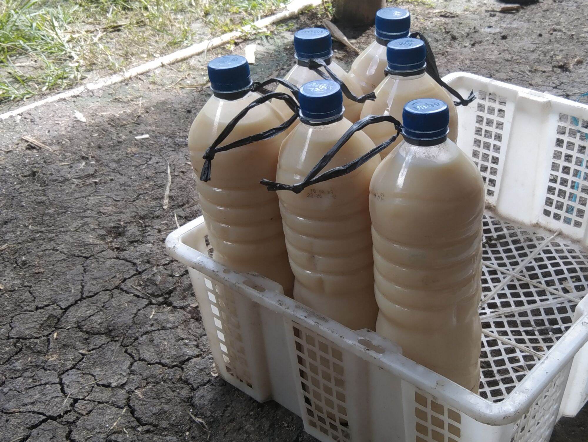 Nolarbj Obat Lalat bangkak jengklong merutu pinjal cocok buat sapi ...