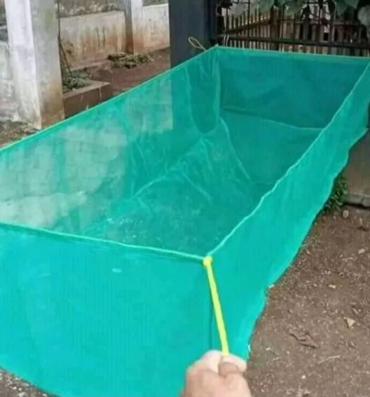 Jaring Keramba Ikan Hapa Jaring Apung Ukuran 2m x 1m x 50cm | Lazada ...