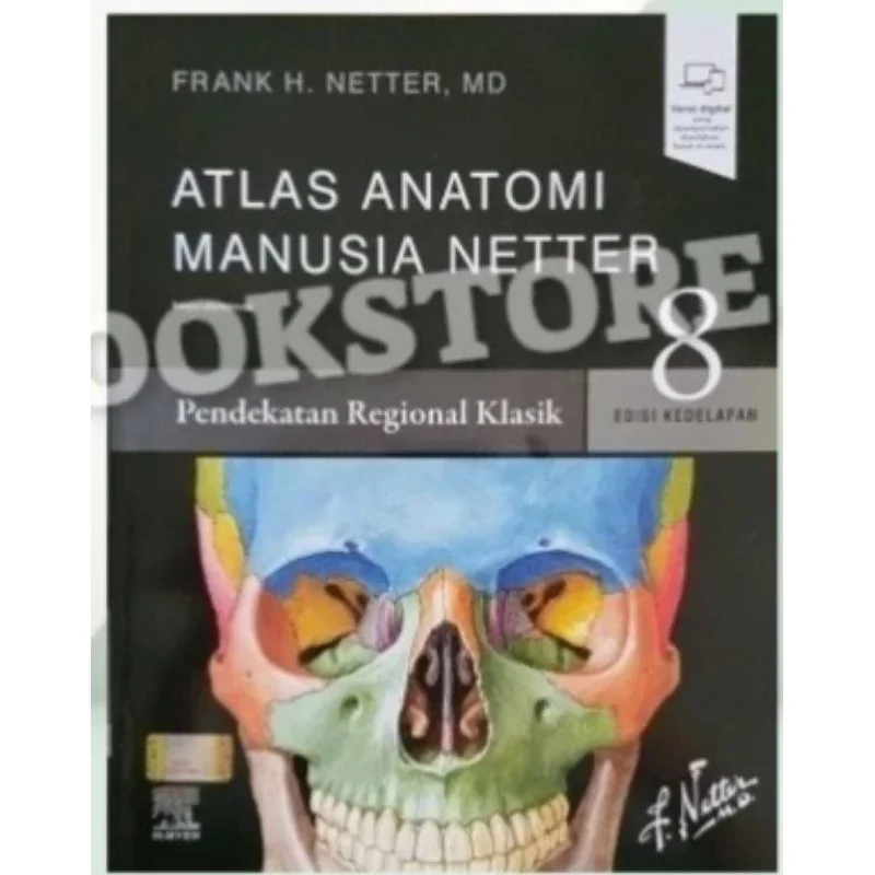 ORIGINAL Atlas Anatomi Manusia Netter Edisi 8 Pendekatan Regional ...