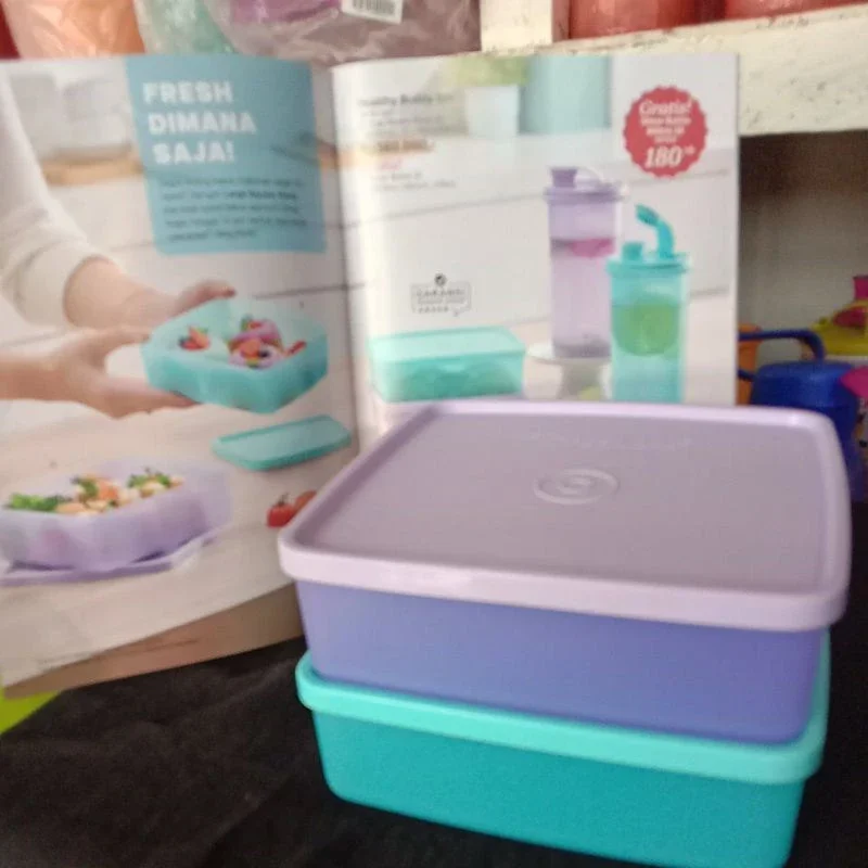 Large Square Away Tupperware | Lazada Indonesia
