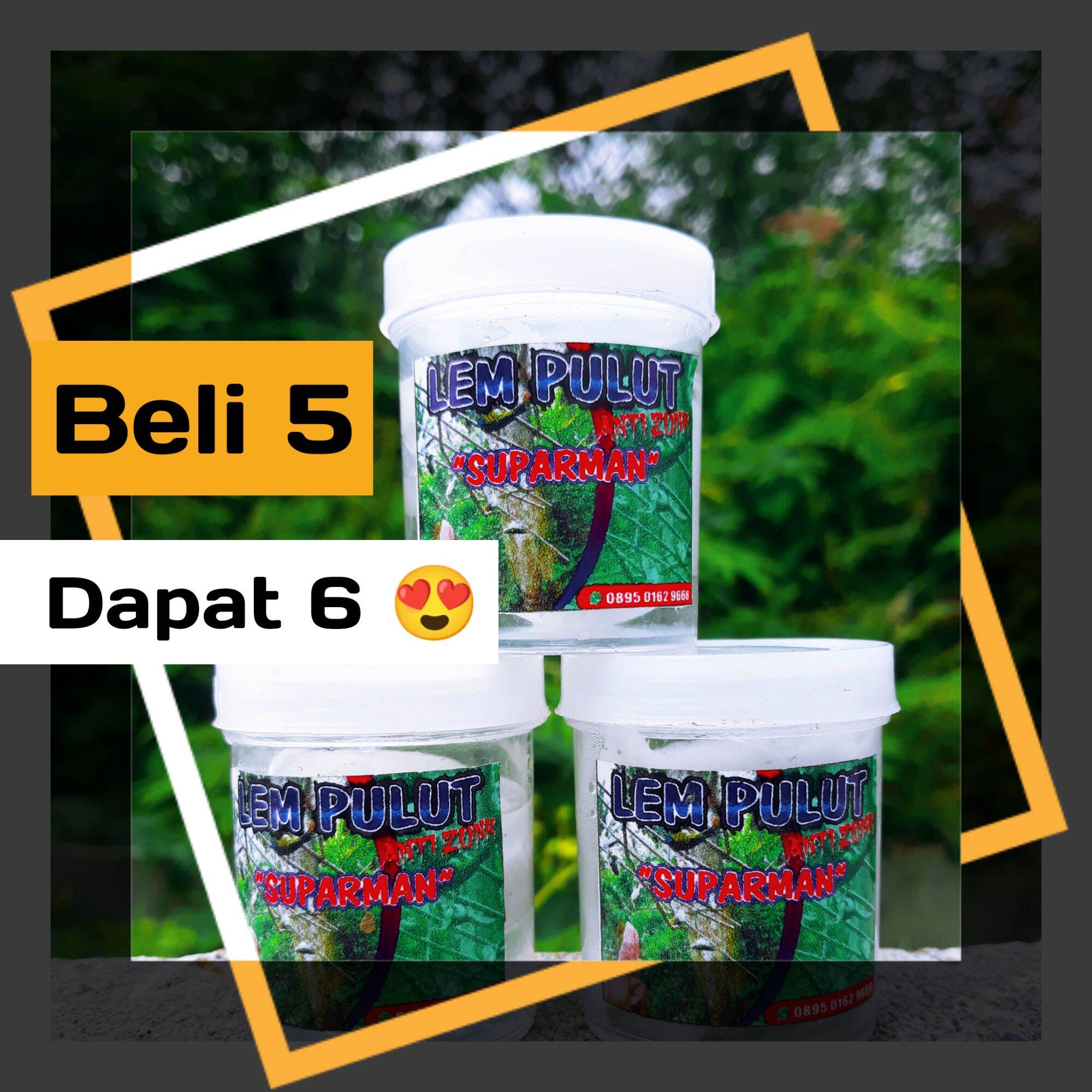 pulut getah bendo pulut getah karet pulut burung | Lazada Indonesia