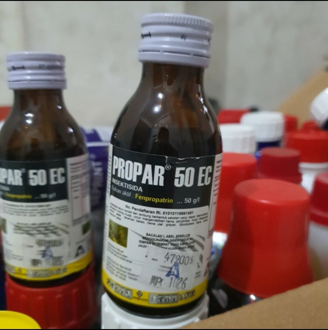 Insektisida Propar 50ec 100ml | Lazada Indonesia