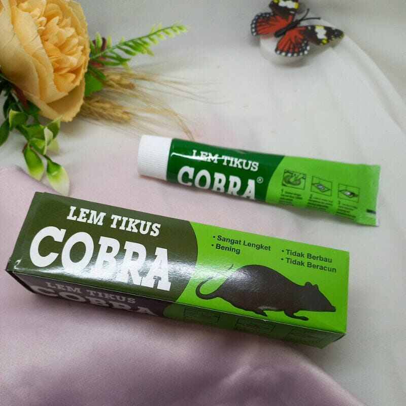 Lem Tikus COBRA original | Lazada Indonesia