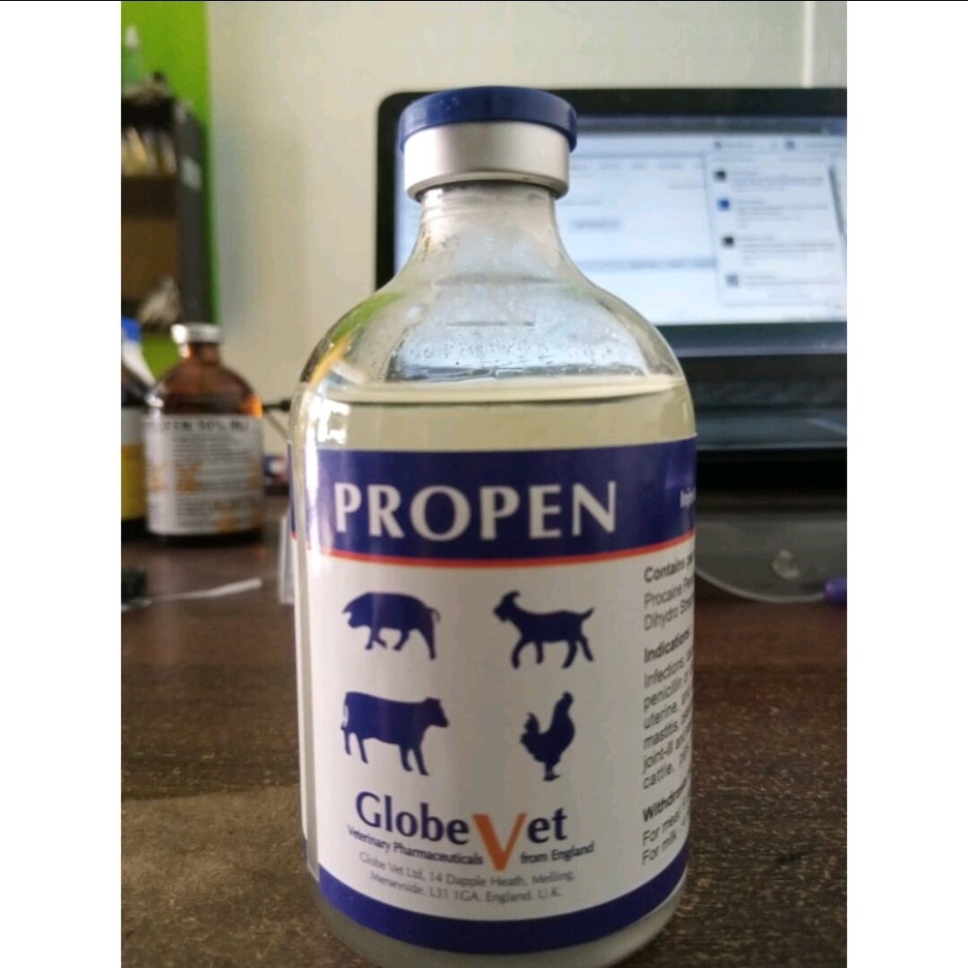 Propen 100ml Seperti Penstrep Obat Injeksi Saluran Pernafasan dan ...