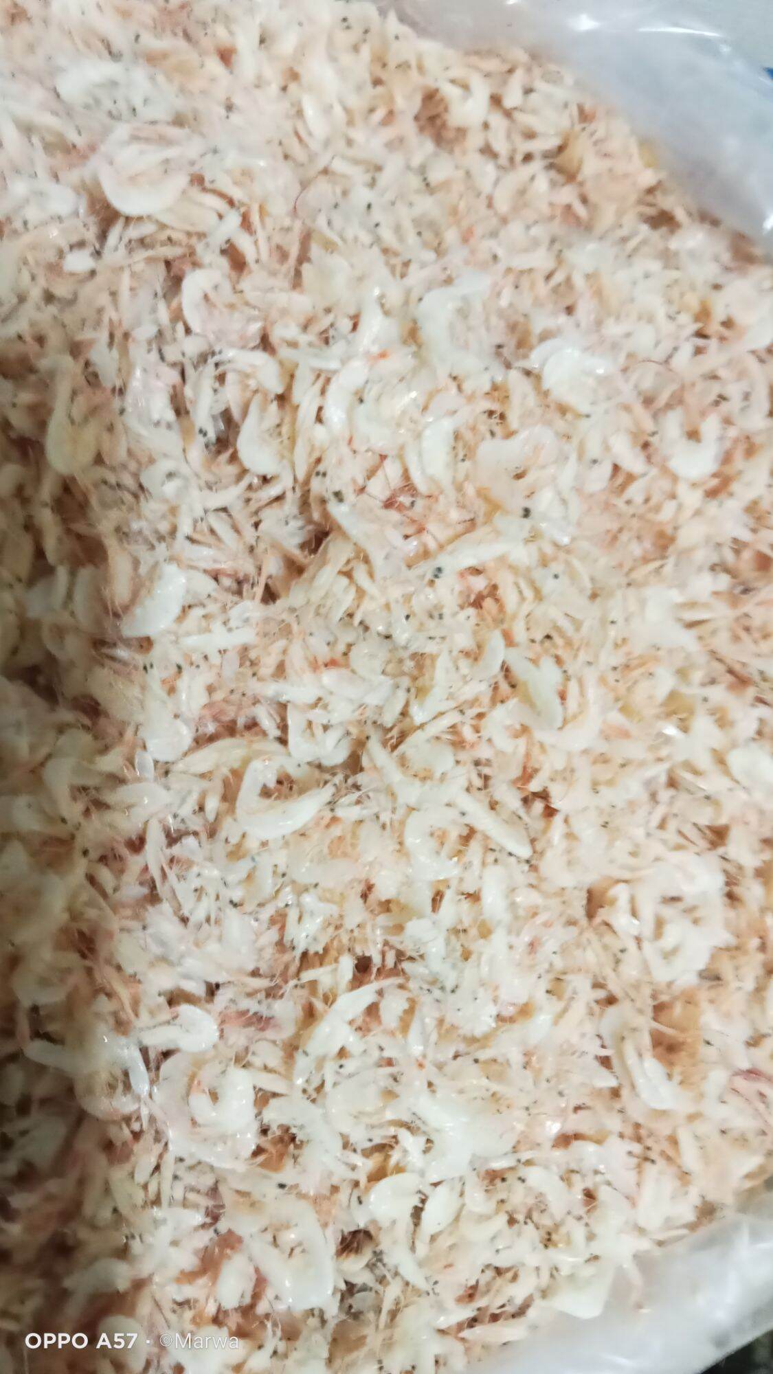 ikan asin rebon alus, rebon asin, ikan asin rebon kecil super murah ...