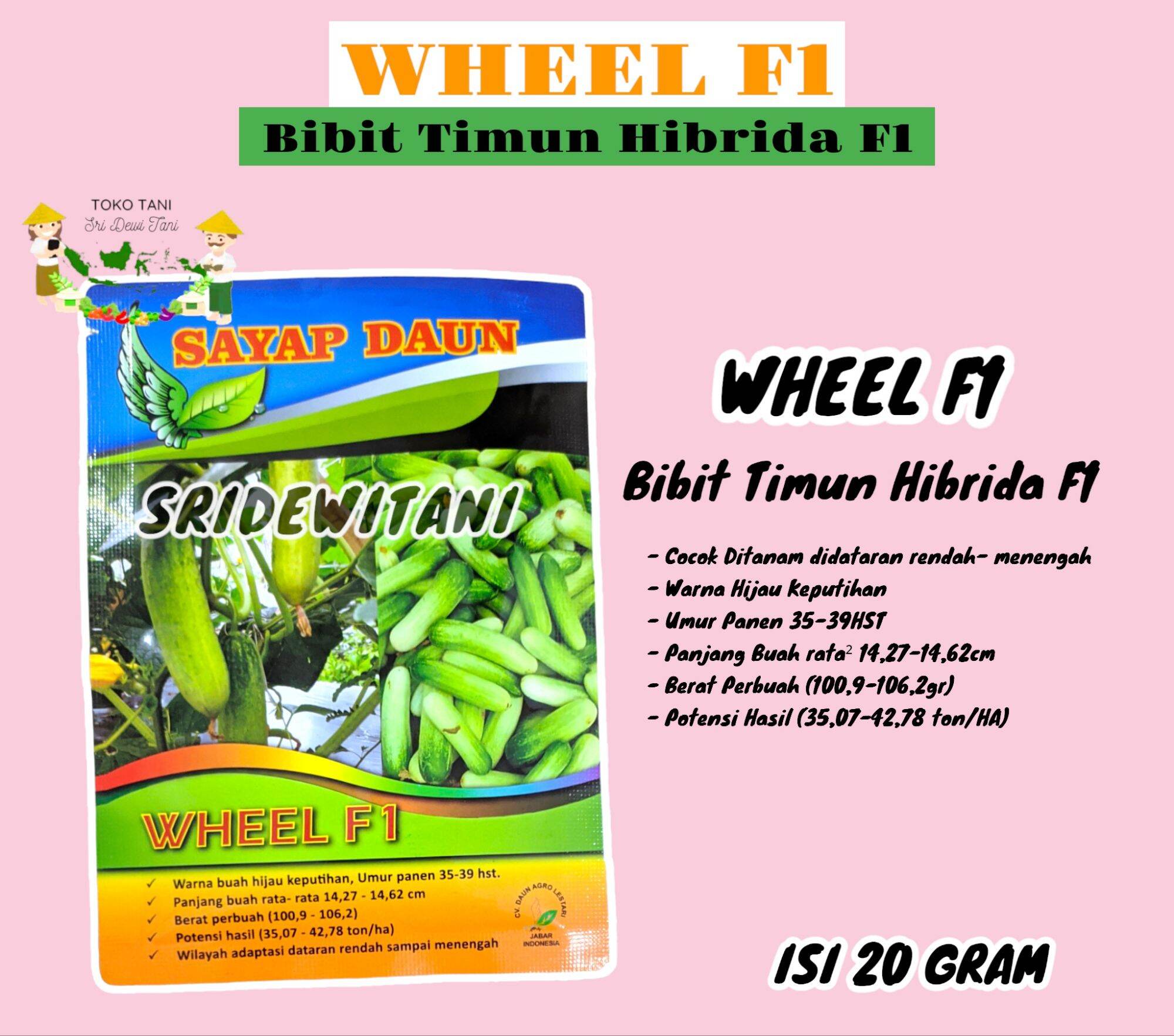 ISI 800 BIJI BIBIT TIMUN LALAP HIBRIDA WHEEL F1 20 GRAM Setara Benih ...