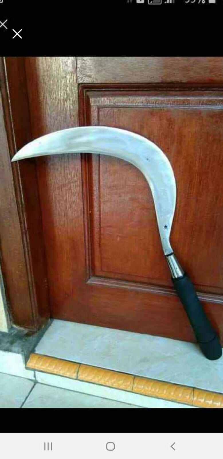 alat tani arit sabit rumput | Lazada Indonesia