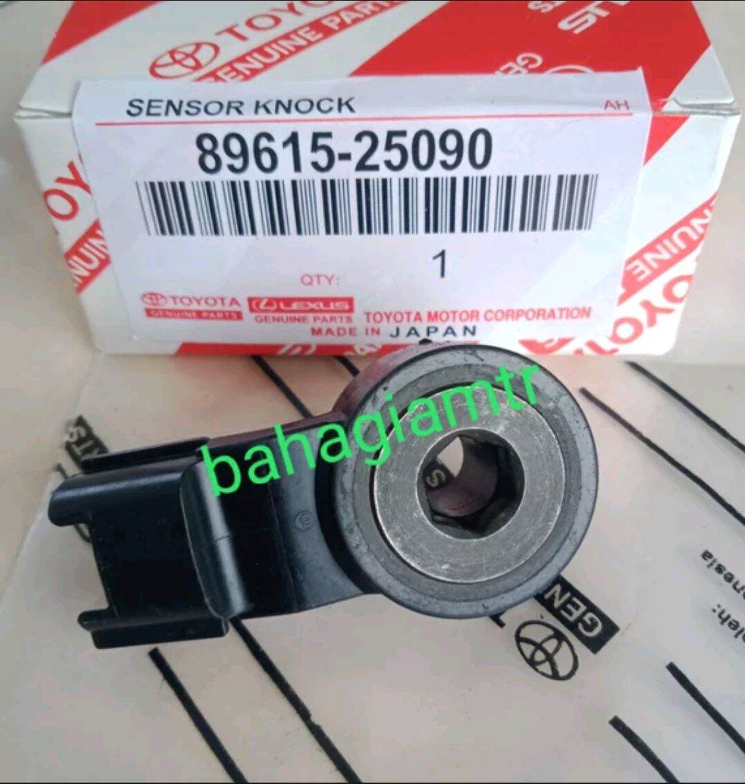 Feedback Knock Sensor At Kristie Rhodes Blog