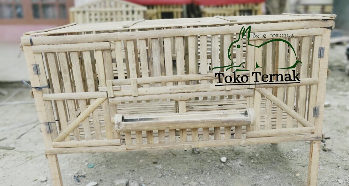 KANDANG AYAM BAMBU ANAK AYAM 2 PINTU | Lazada Indonesia