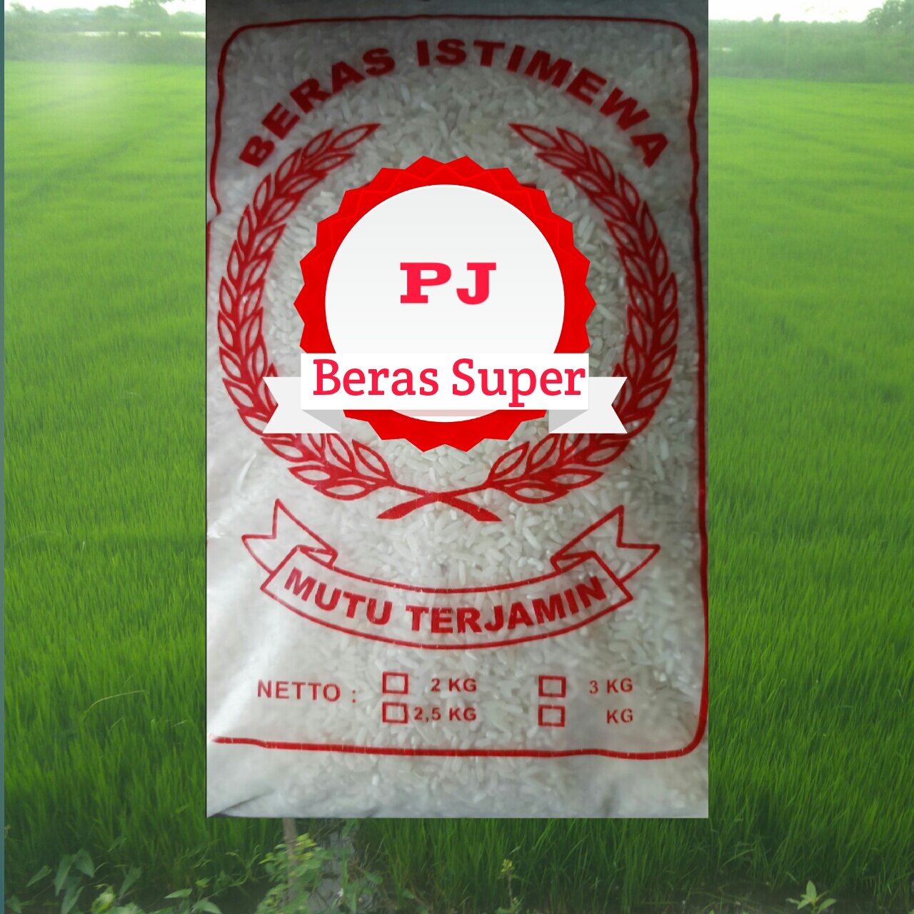 Beras Super cap ikan nila 5 kg | Lazada Indonesia