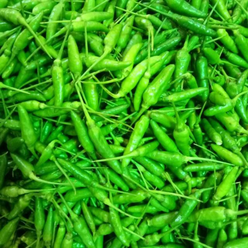 CABAI RAWIT / CABAI GUNUNG FRESH 100gr | Lazada Indonesia