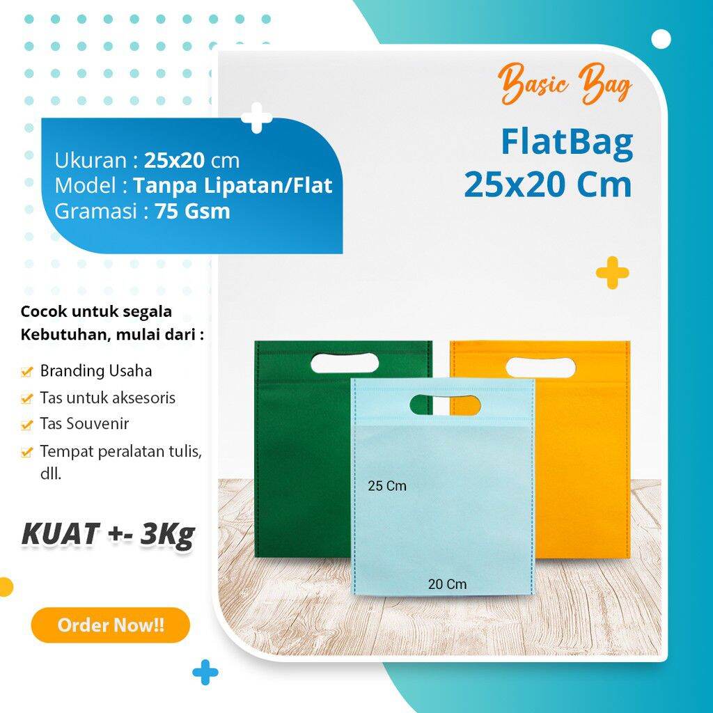 TAS SPUNBOND POLOS 25X20 TAS PLONG TAS SOUVENIR | Lazada Indonesia