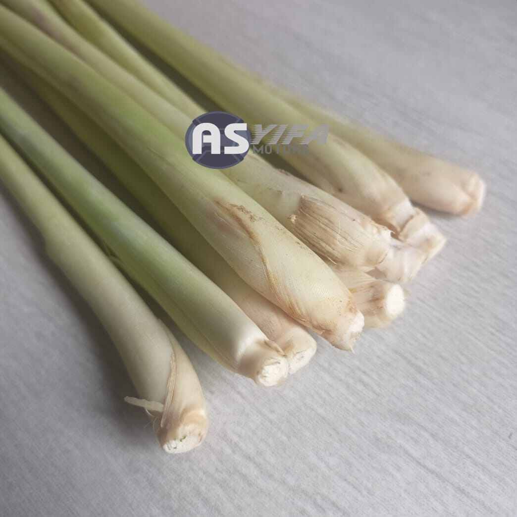 Serai dapur sereh masak segar 500g | Lazada Indonesia