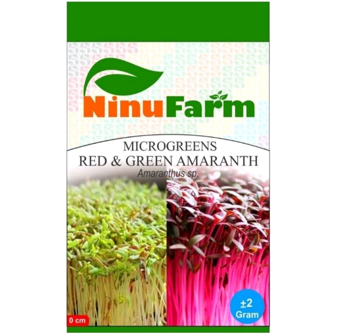 Benih Microgreens Red & Green Amaranth / Bibit Microgreen Hijau Merah ...