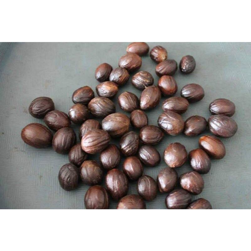 Biji Pala / Biji Pala Kering / Nutmeg / Biji Pala Original /Pala 1 kg ...