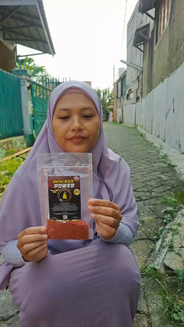 Nutri Max Power 50g Voer Pakan Makanan Burung Pleci Prenjak Ciblek ...