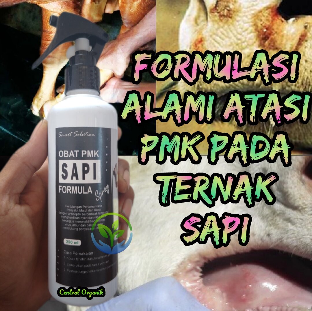 Obat PMK Sapi Scabies Kucing Anjing Kelinci Borok Kambing Ruminansia ...