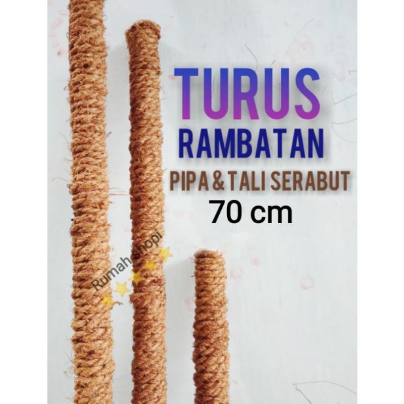 Turus rambatan 70 cm Turus tanaman Turus serabut kelapa Turus lilit ...
