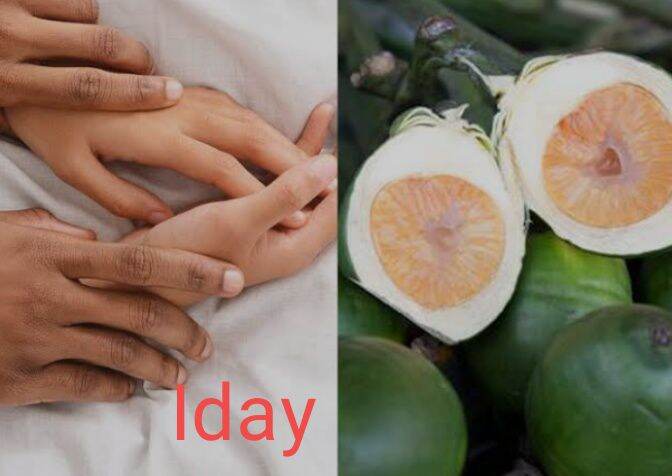 1KG BUAH PINANG MUDA ASLI SEGAR, FRESH OBAT HERBAL EPEKTIF | Lazada ...