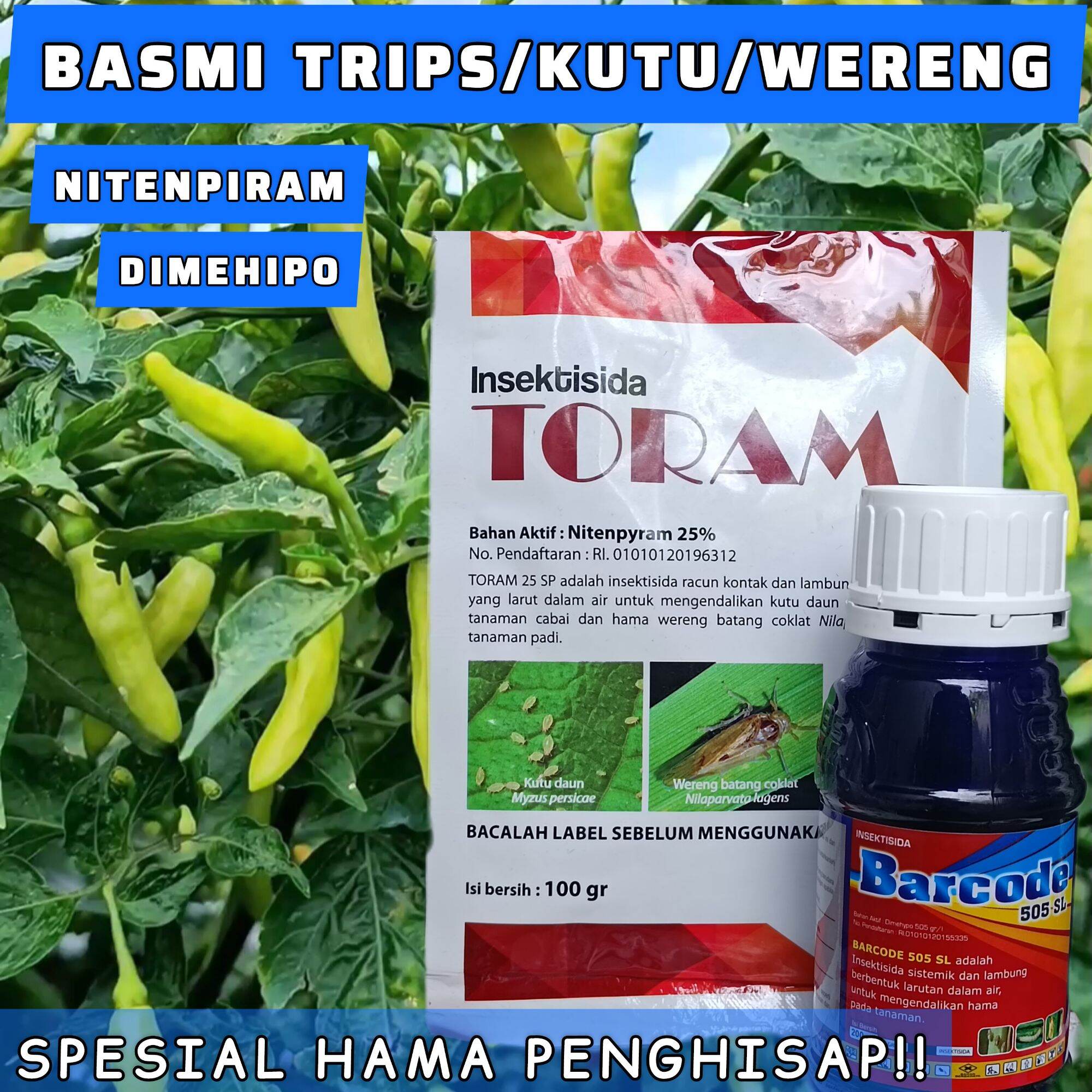 Pestisida Basmi Hama Thrips dan Wereng Bandel (Toram & Barcode 200ml ...