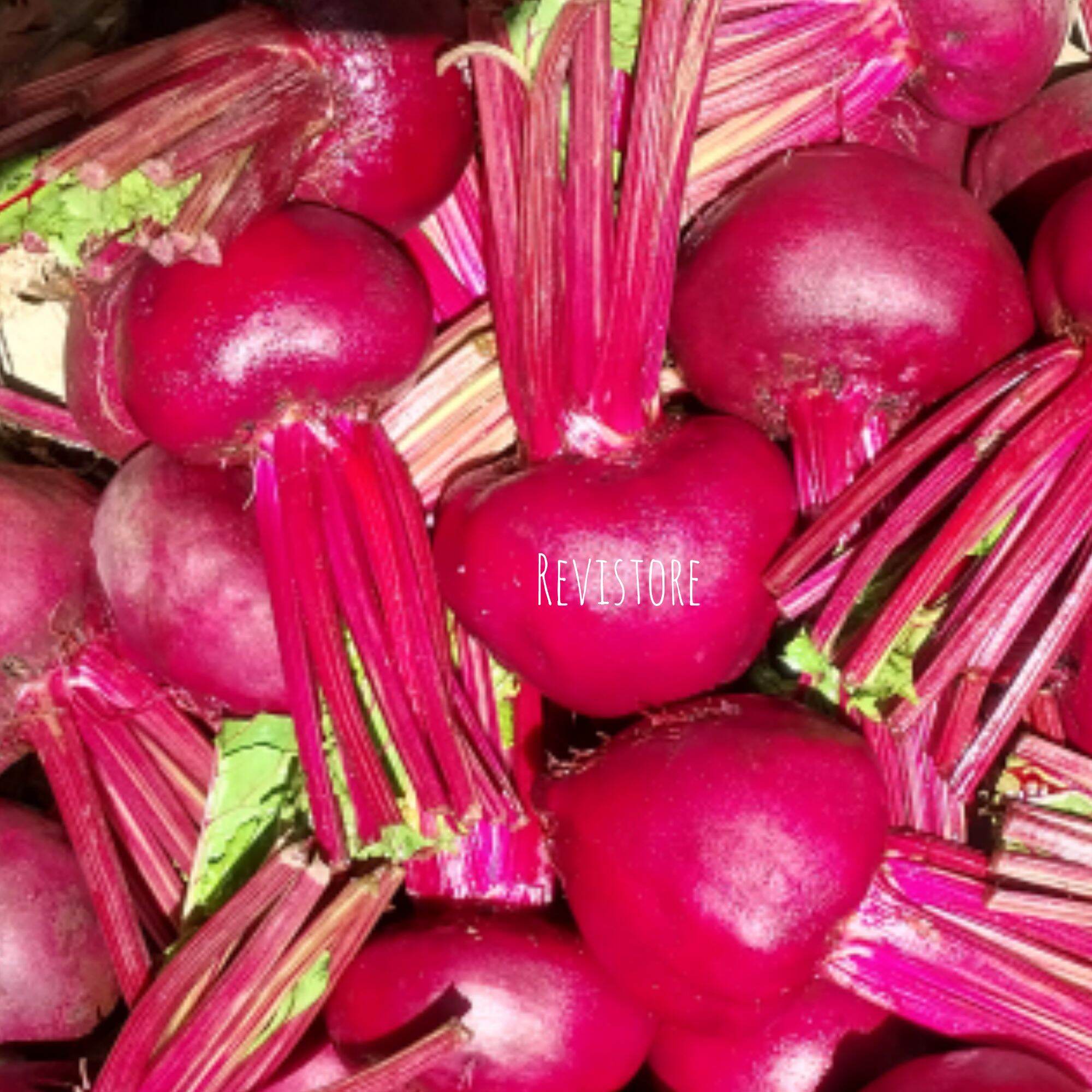 Buah Bit /BeetRoot Fresh 1kg | Lazada Indonesia