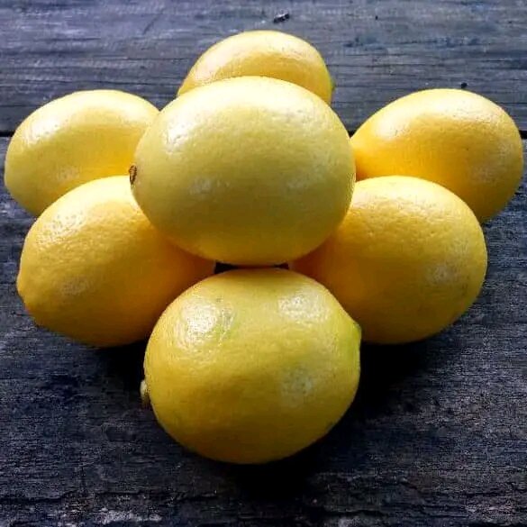 JERUK LEMON SEGAR JAWA BARAT | Lazada Indonesia