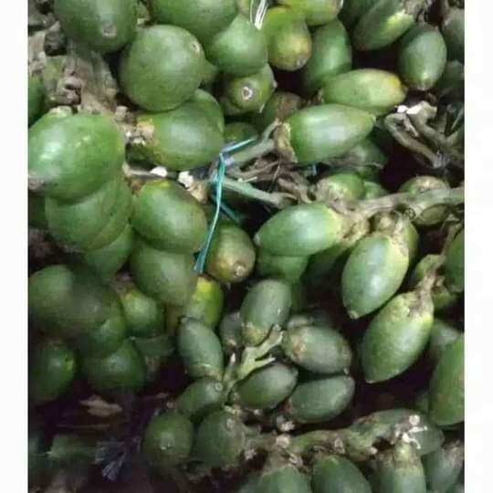 Buah Pinang Muda / Buah Jambe | Lazada Indonesia