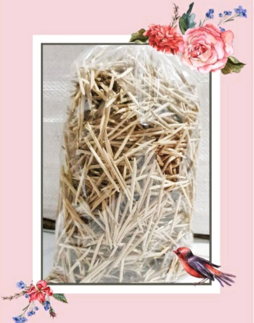 Biting Bambu Kering Untuk Lontong dan Tempe Daun Super Tajam Serbaguna ...