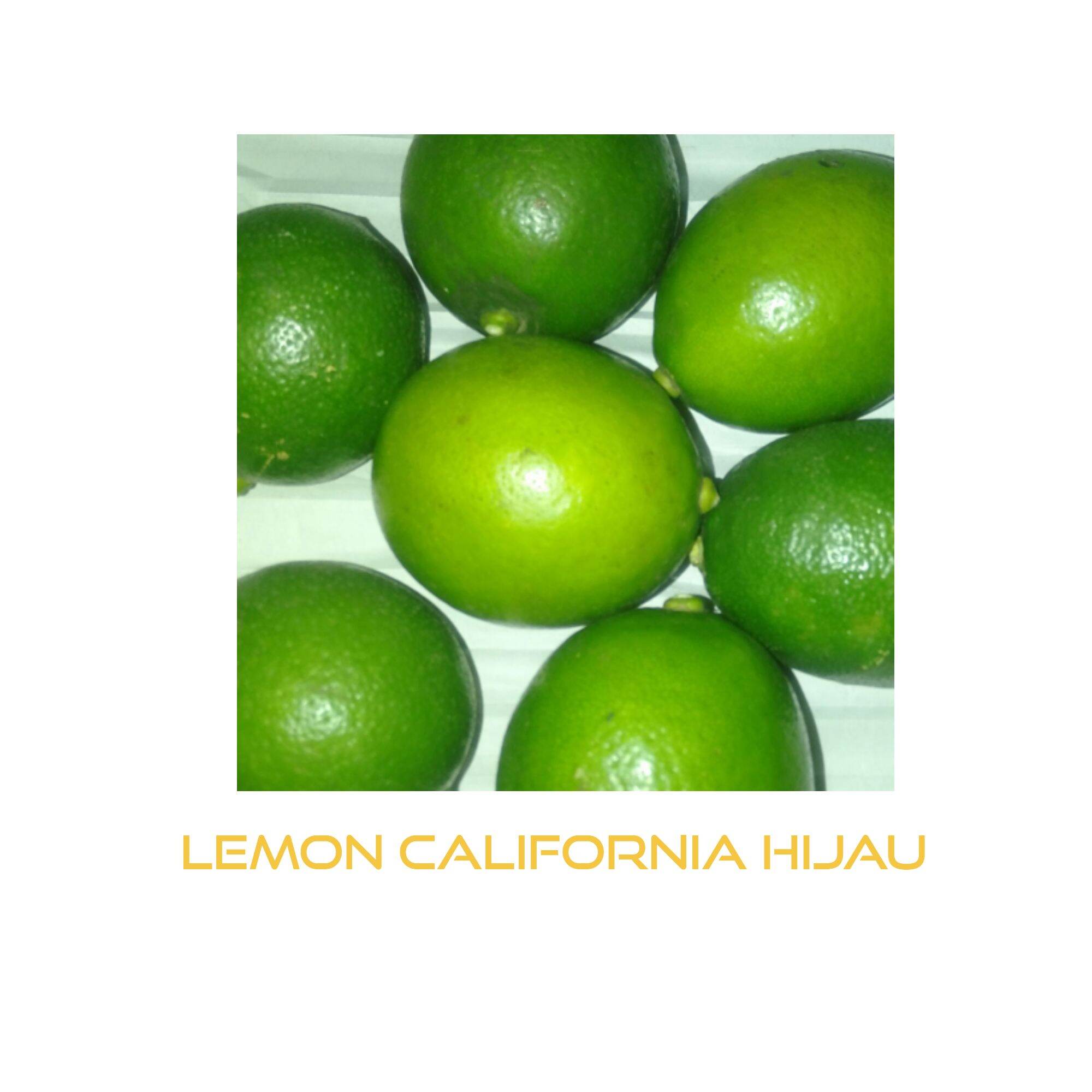 BUAH LEMON CALIFORNIA HIJAU 1KG - JERUK LEMON CALIFORNIA HIJAU | Lazada ...