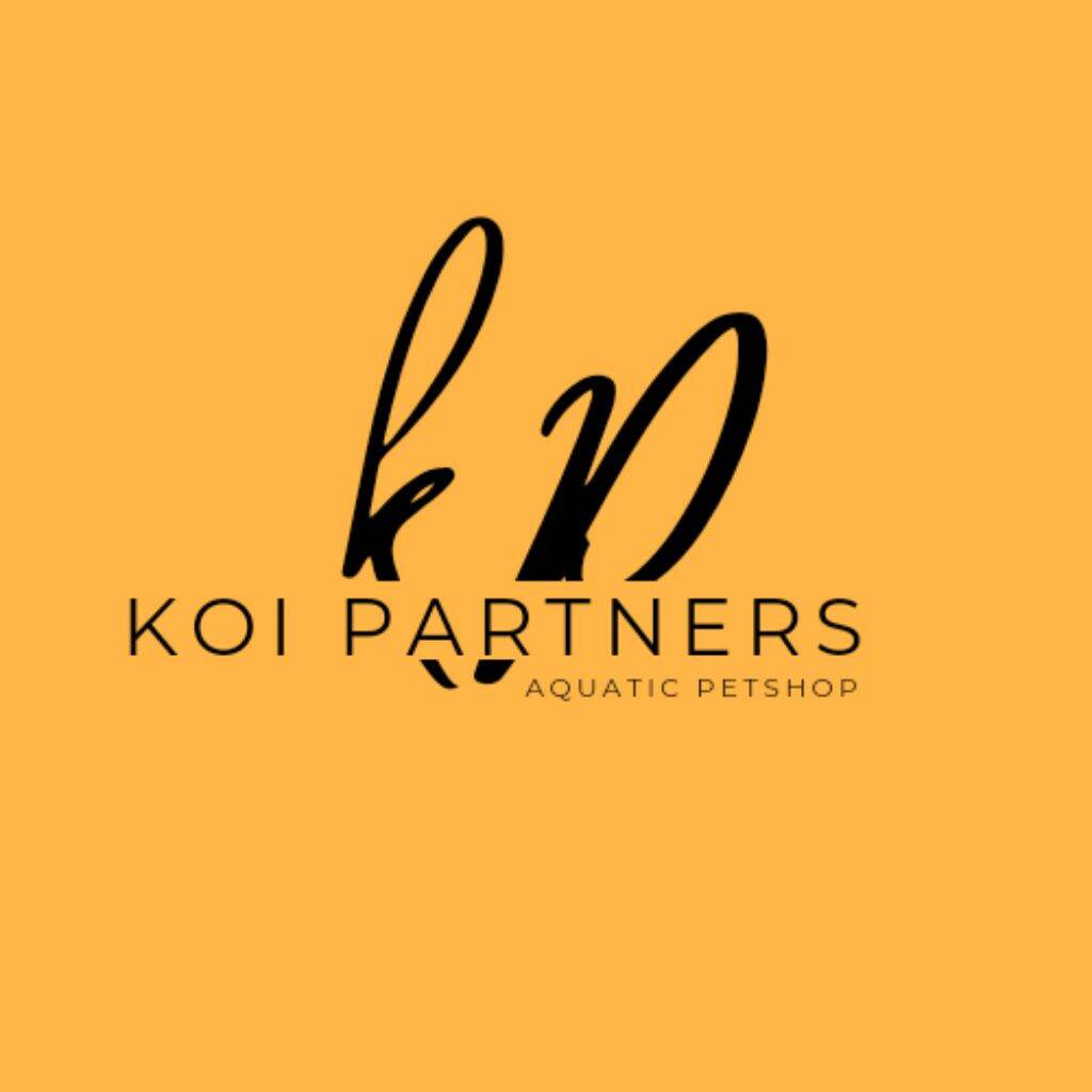 Koi Partners Toko Resmi Di Indonesia Online Shop 04 2025