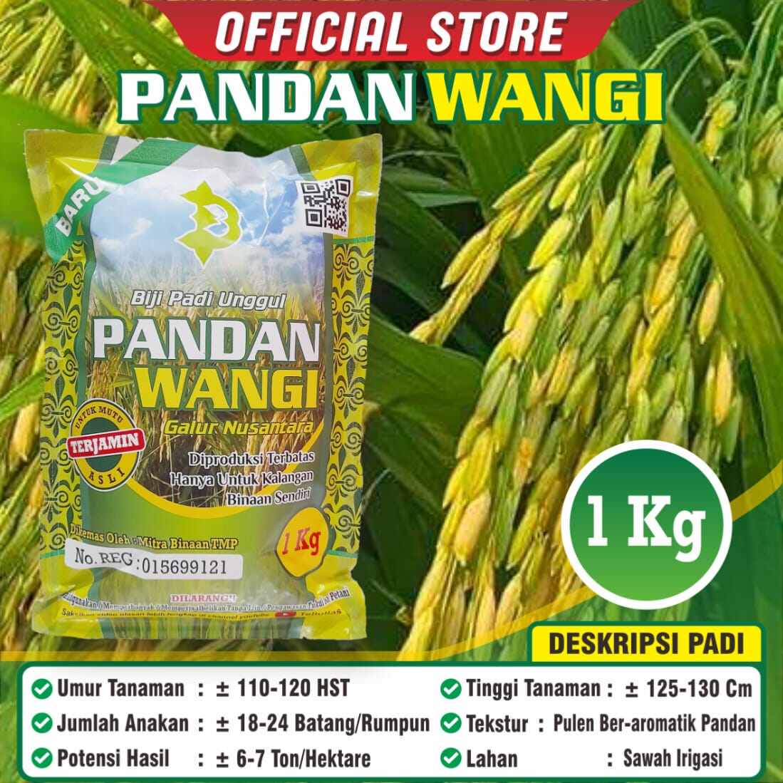 Padi Pandan Wangi | Lazada Indonesia