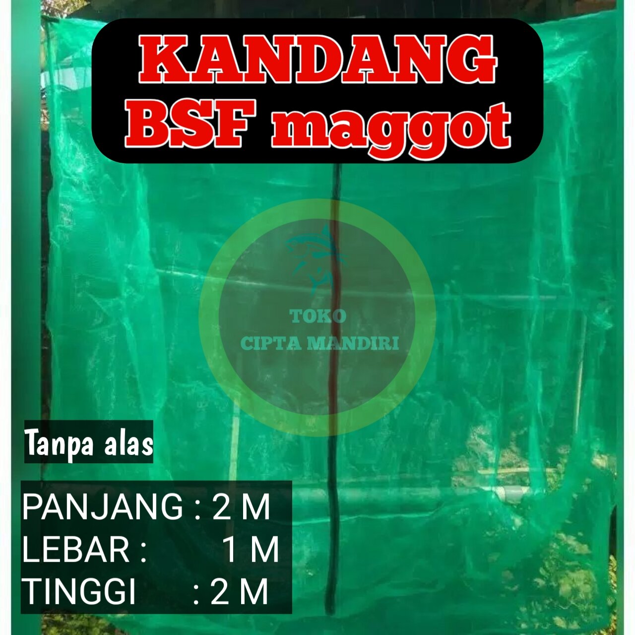 kandang bsf maggot serangga maggot 2x1x2 tanpa alas | Lazada Indonesia