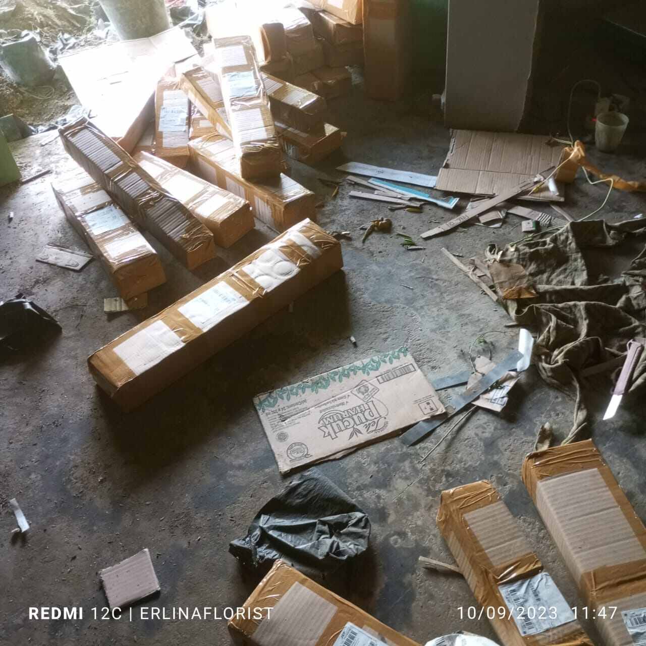 tanaman bunga Arum Dalu bunga nya wangi semerbak | Lazada Indonesia