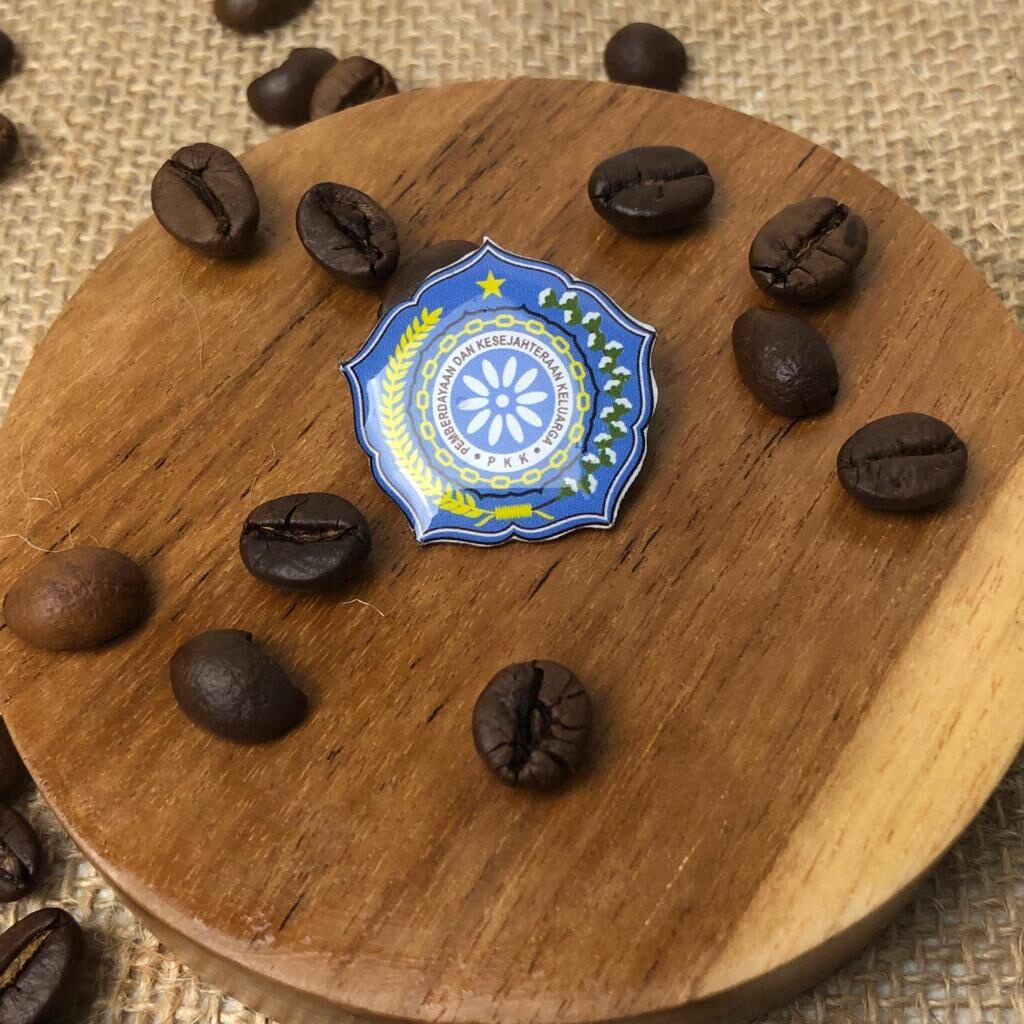 Pin PKK / Lencana PKK Paling Murah | Lazada Indonesia