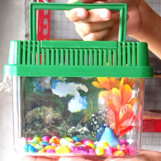 Paket Aquarium Mini 15cmx10cm Batu Pohon Wallpaper Untuk Ikan Kura2 Dan Reptile Lazada