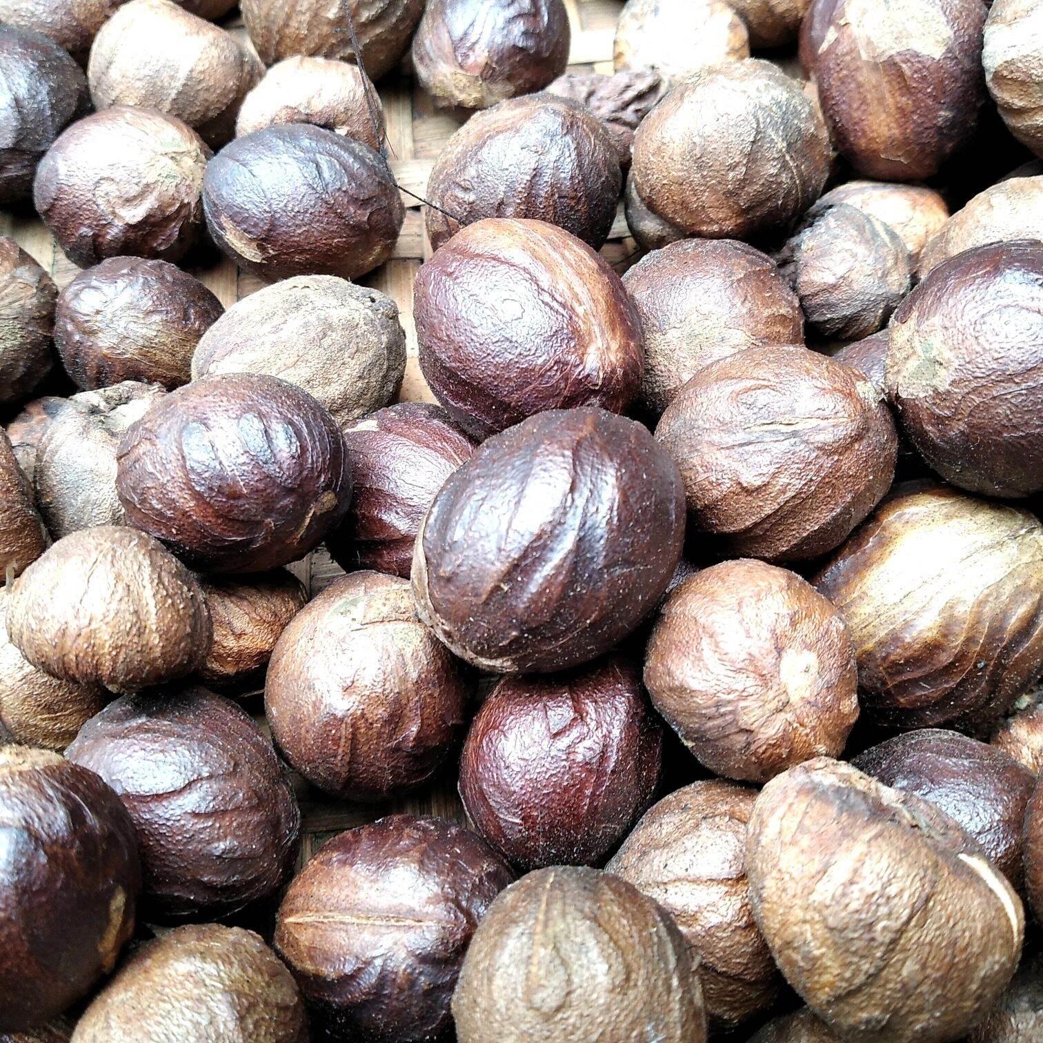 Biji pala kering, 1 kg | Lazada Indonesia